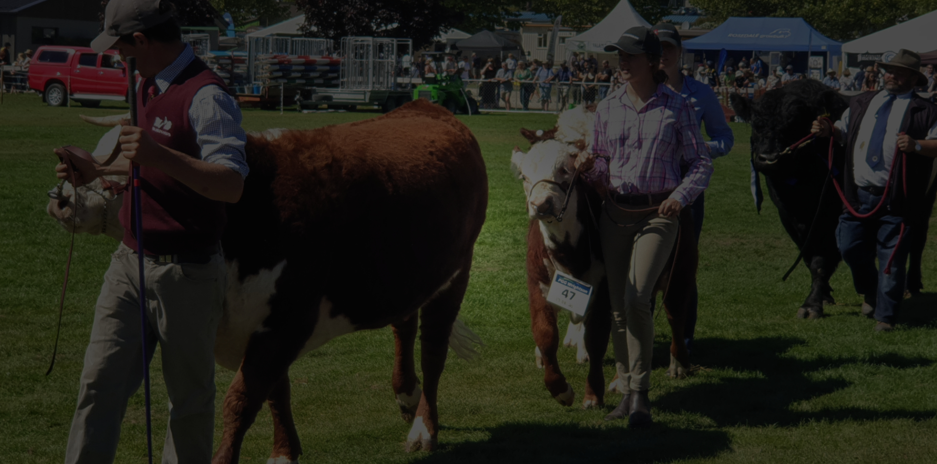 Royal Agricultural Society New Zealand – Showcasing Rural Excellence